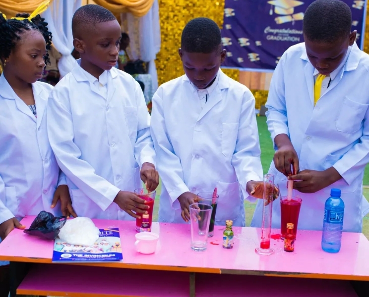 Harvard Links Montessori Schools